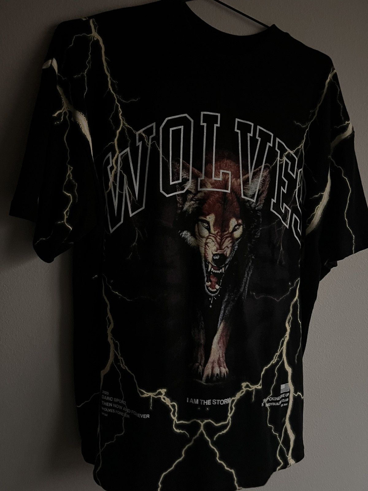 Darc Sport Wolves Oversized Premium Vintage Tee I Am The Storm | Grailed