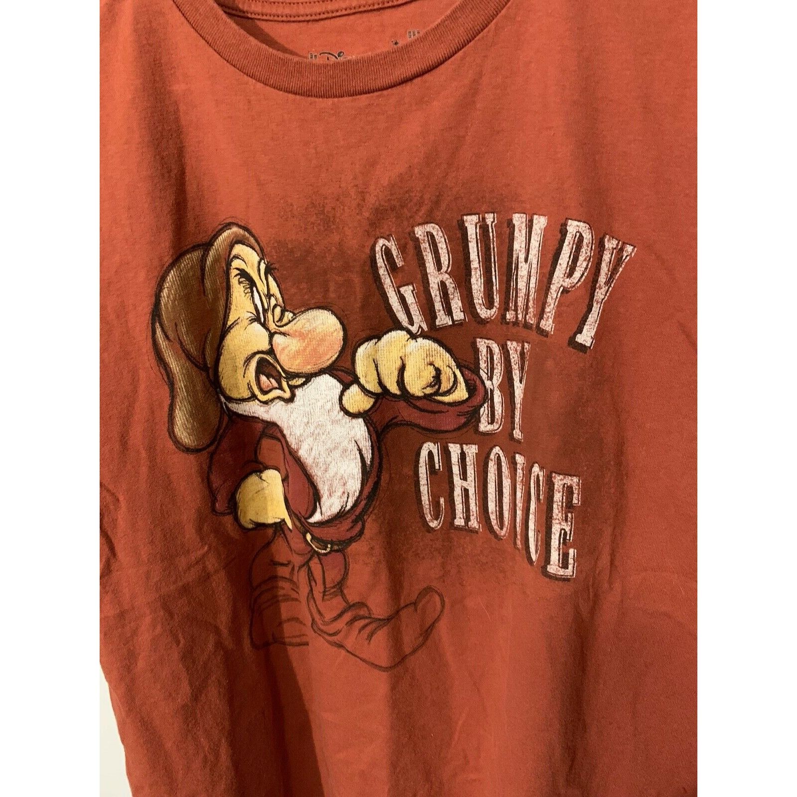 Disney Disney Store Mens GRUMPY BY CHOICE Rust Tee Shirt Sz M Organ ...