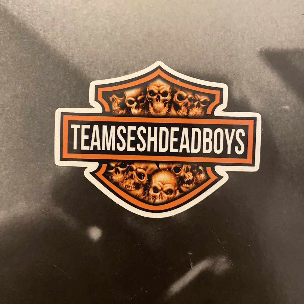 Teamsesh TEAMSESHDEADBOYS Sticker | Grailed