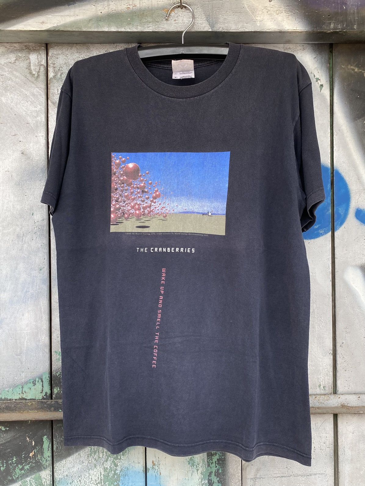 Vintage 00s The Cranberries Wake Up And Smell The Coffee Album Tees ...