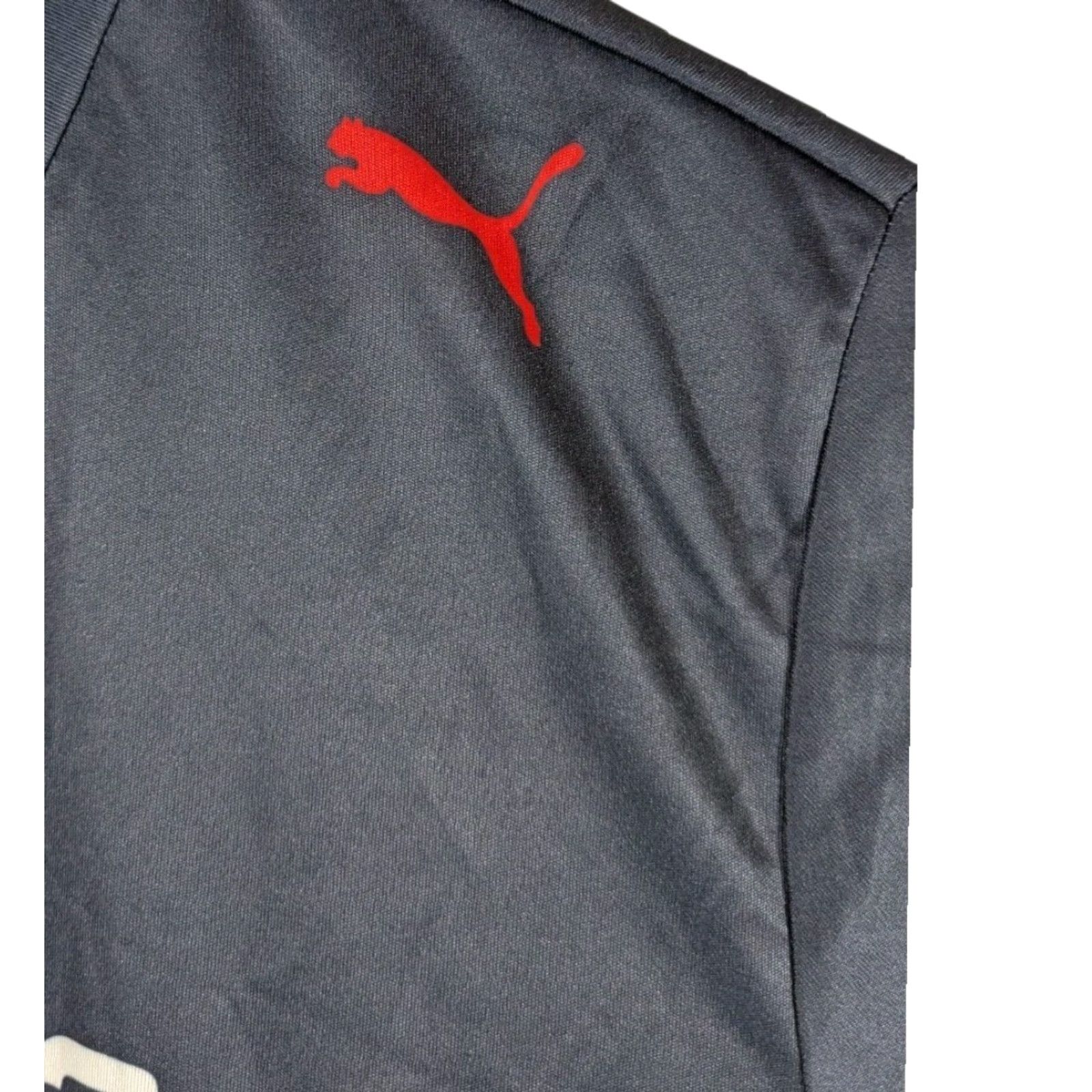 Puma Red Bull Racing F1 MAX VERSTAPPEN World Champion MV33 2021 2XL ...