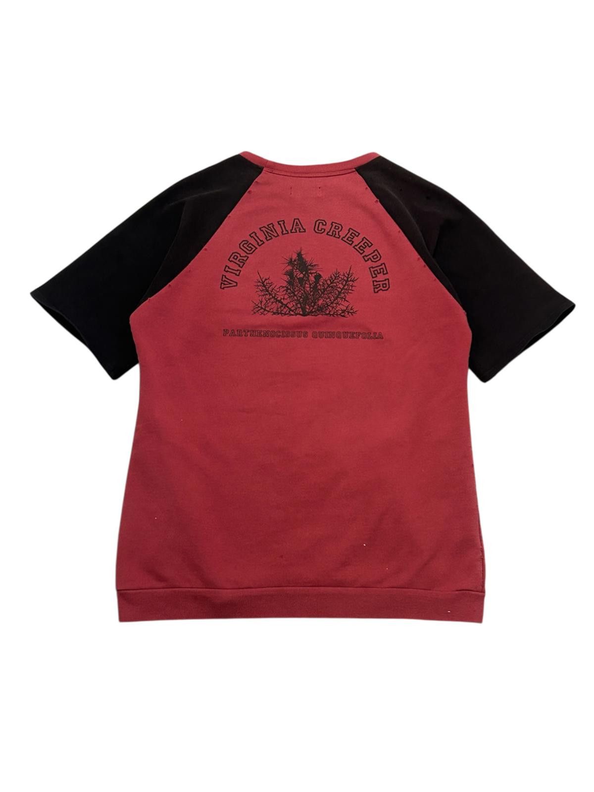 Raf Simons RAF SIMONS – Virginia Creeper Redux Raglan Tee | Grailed
