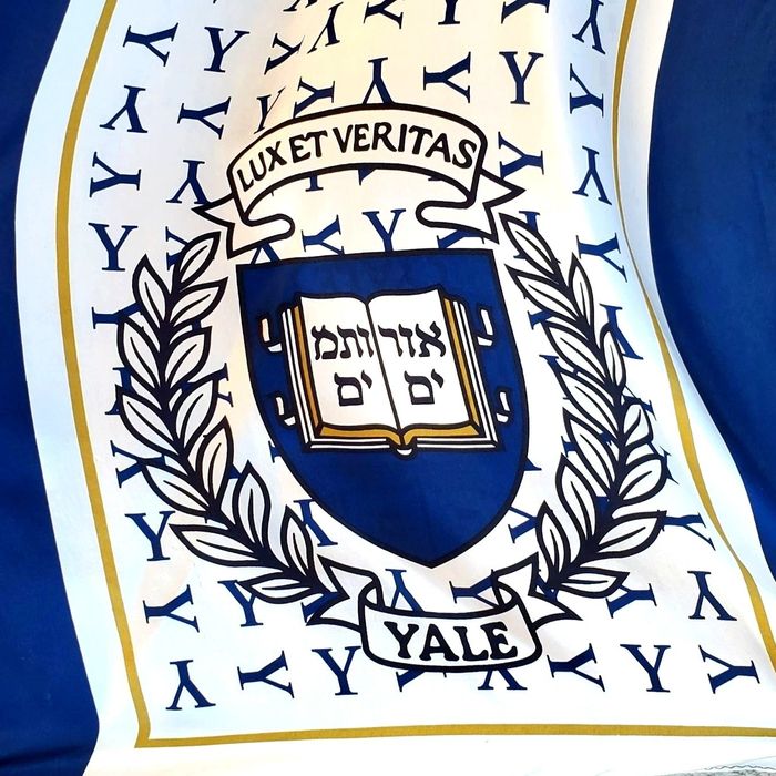 Designer Yale University Logo Silk Scarf Rectangle Blue White 18 x 60 ...