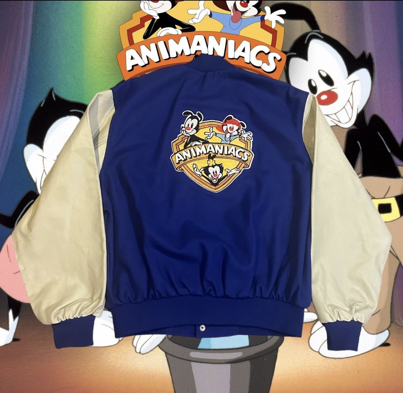 Vintage Men’s Just Jackets Warner Bros. Animaniacs Jacket | Grailed
