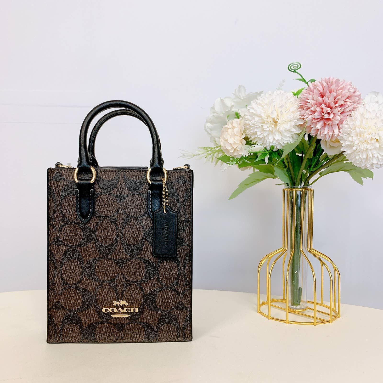 Coach Coach CJ494 North South Mini Tote In Canvas IN BROWN BLACK | Grailed