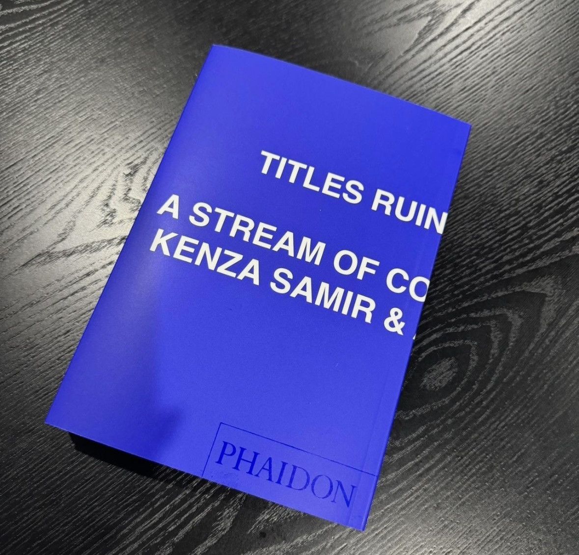 Drake Titles Ruin Everything - Drake Poem book | Grailed Drake Titles Ruin Everything - Drake Poem book | Grailed