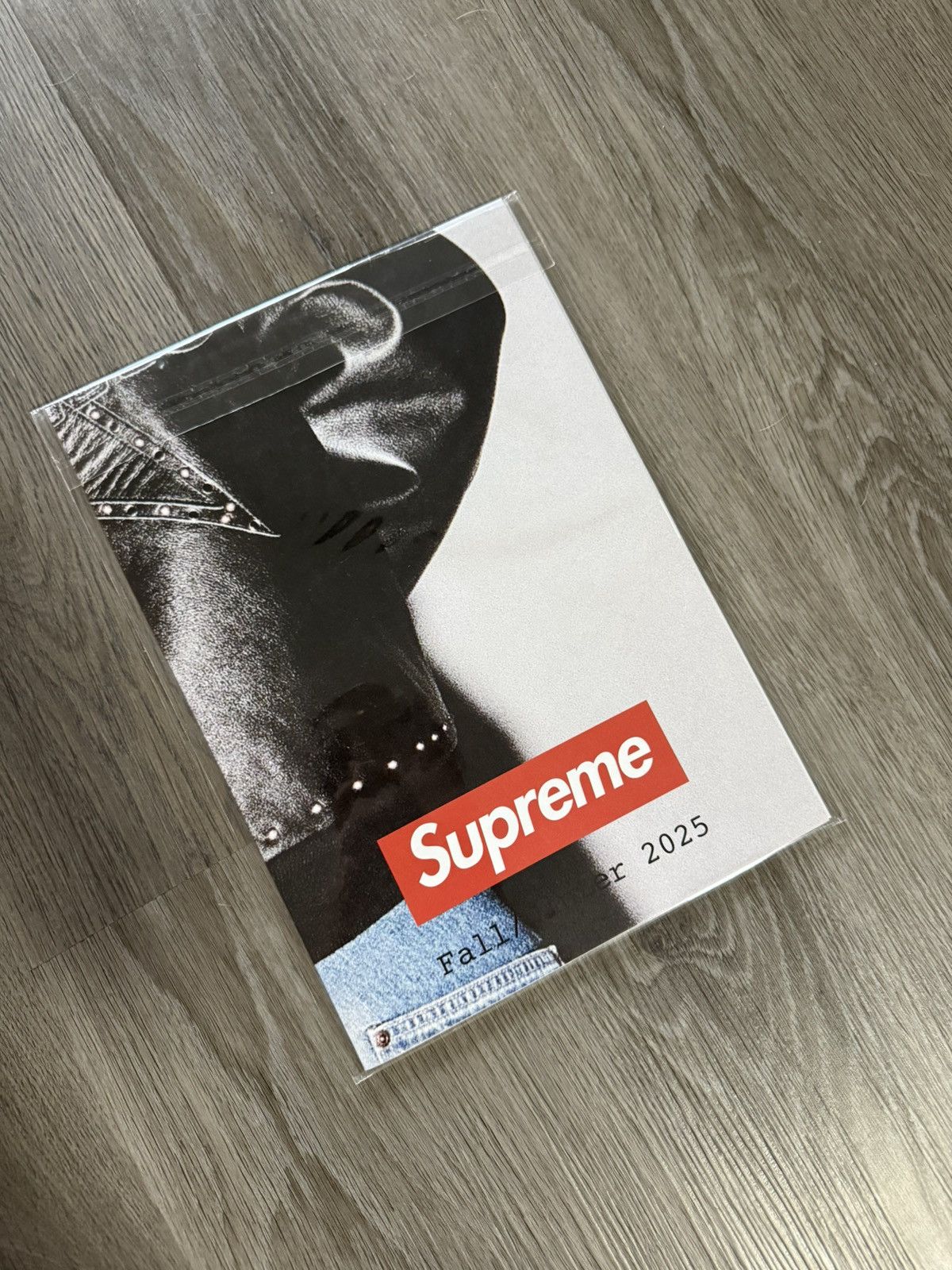 Supreme Supreme FW 2025 Look book Poster | Grailed