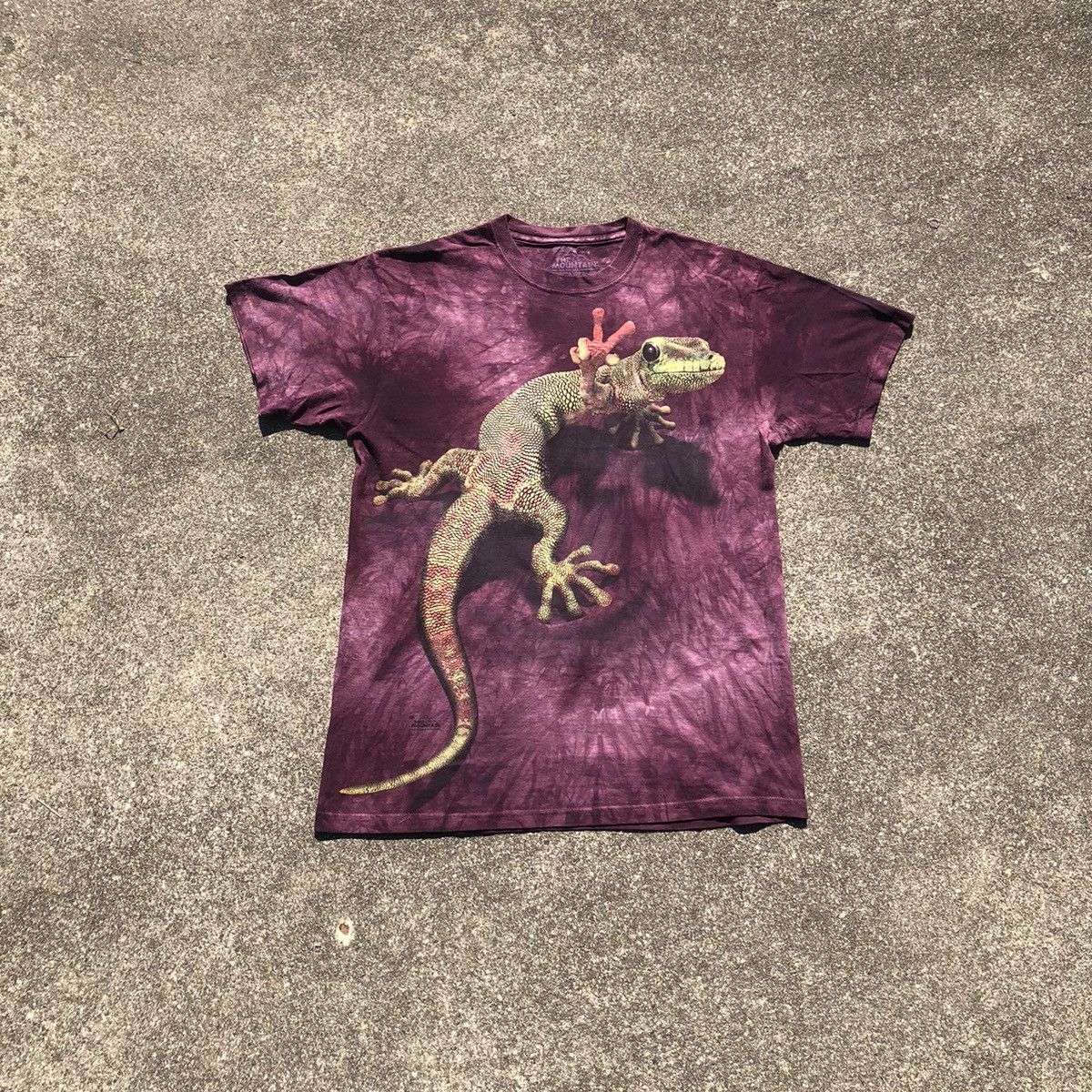 Vintage 2000s THE MOUNTAIN PEACE GECKO TEE | Grailed