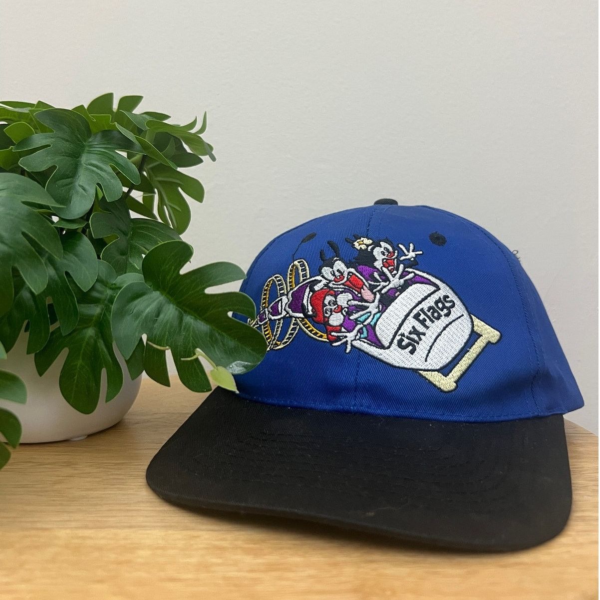 Vintage Vintage 90's Animaniacs Six Flags Cartoon Snapback Hat | Grailed