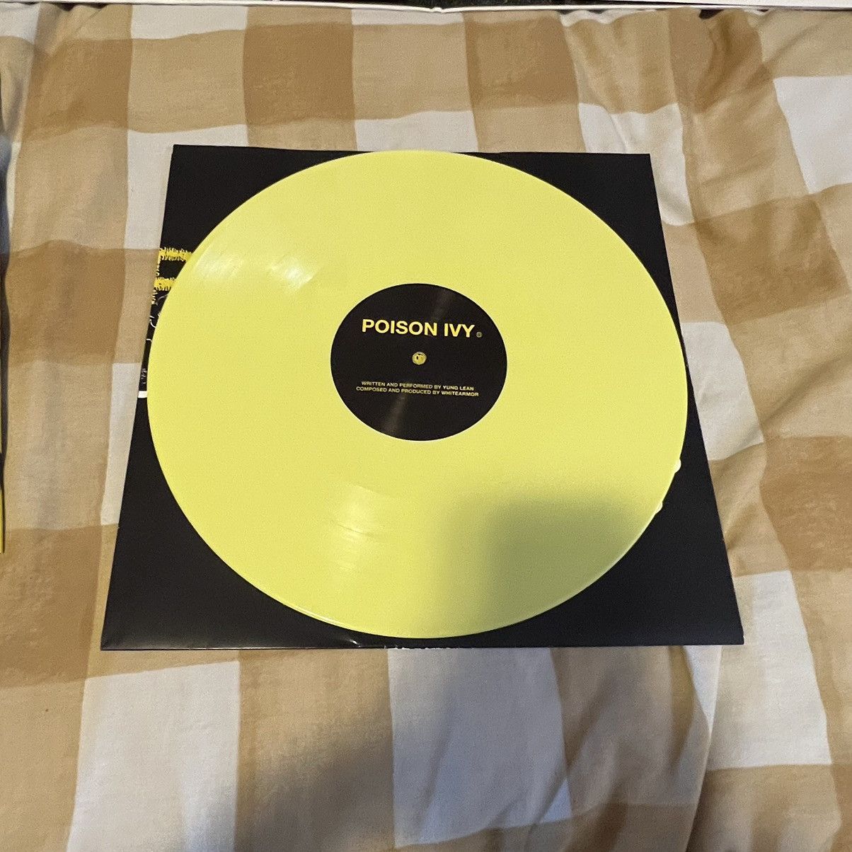 Sad Boys Yung lean poison ivy vinyl | Grailed