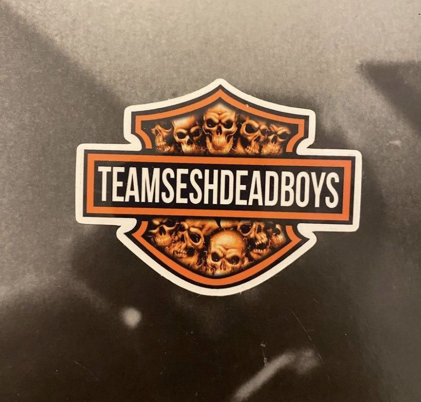 Teamsesh TeamSESH Stickers bundle | Grailed