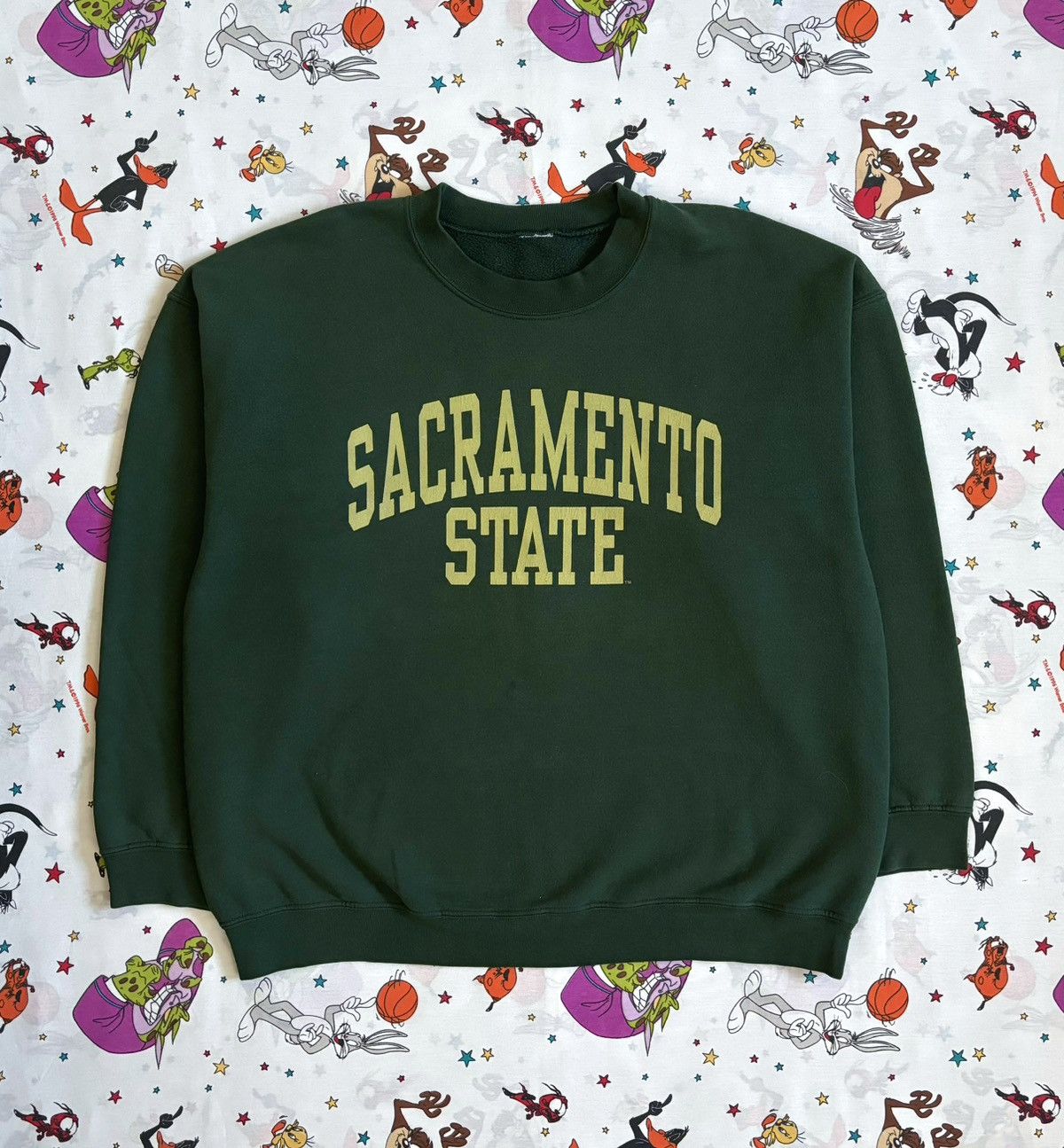 American College × Collegiate × Vintage Vintage 90’s Sacramento State ...