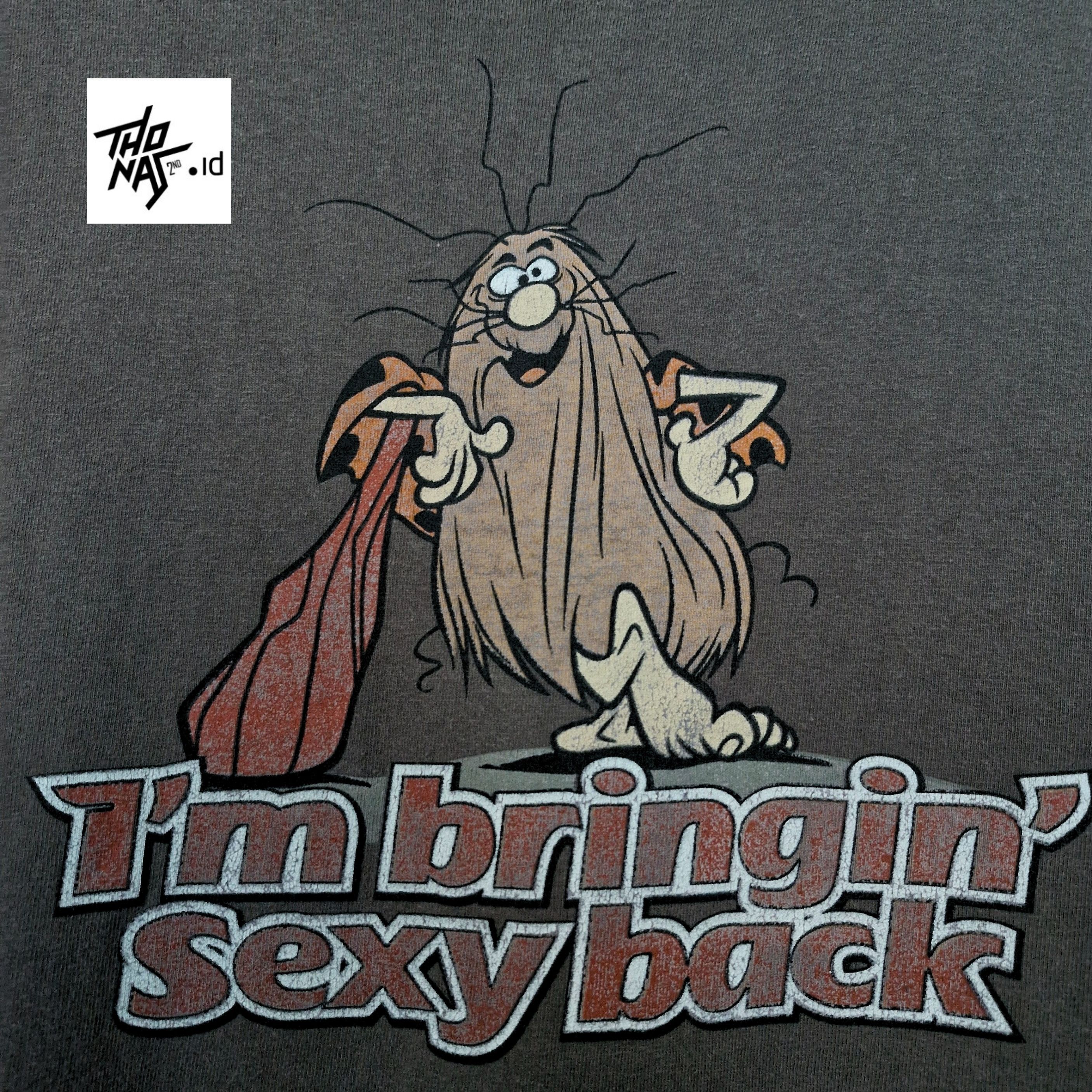 Cartoon Network Captain Caveman Hanna Barbera MFD by Freeze Brown T ...
