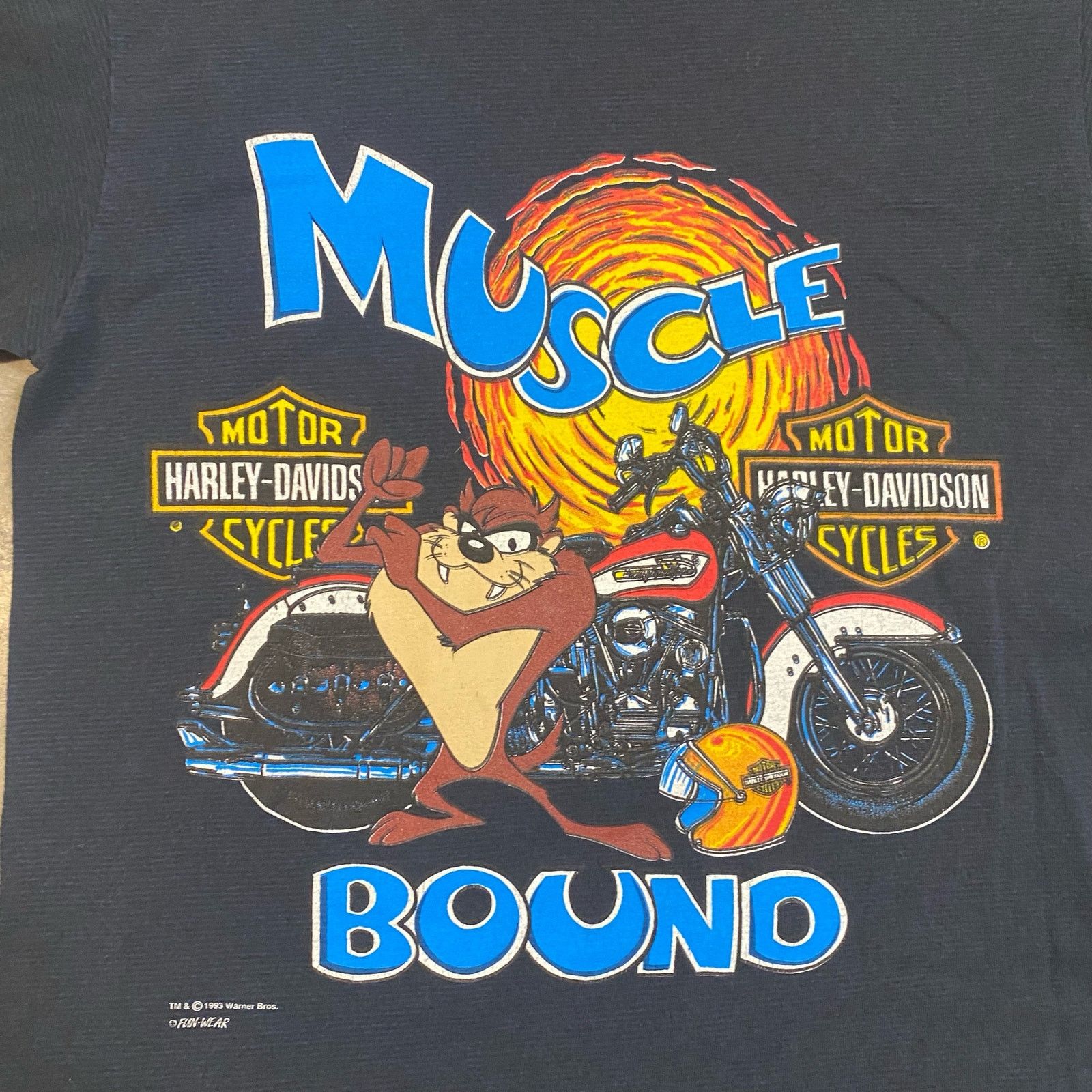 Harley Davidson Vintage 1993 Harley Davidson Taz Devil Muscle Bound T ...