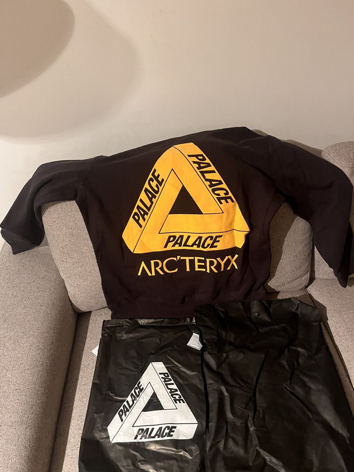 Palace Palace Arc’teryx hoodie never worn | Grailed Palace Palace Arc’teryx hoodie never worn | Grailed