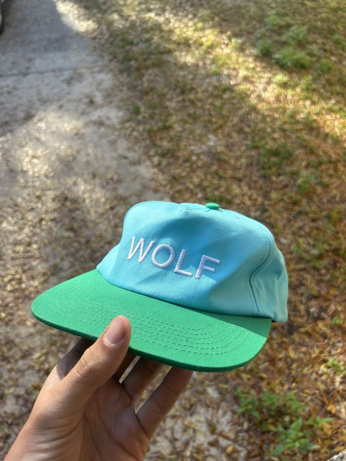 Golf Wang Wolf 10 year hat | Grailed