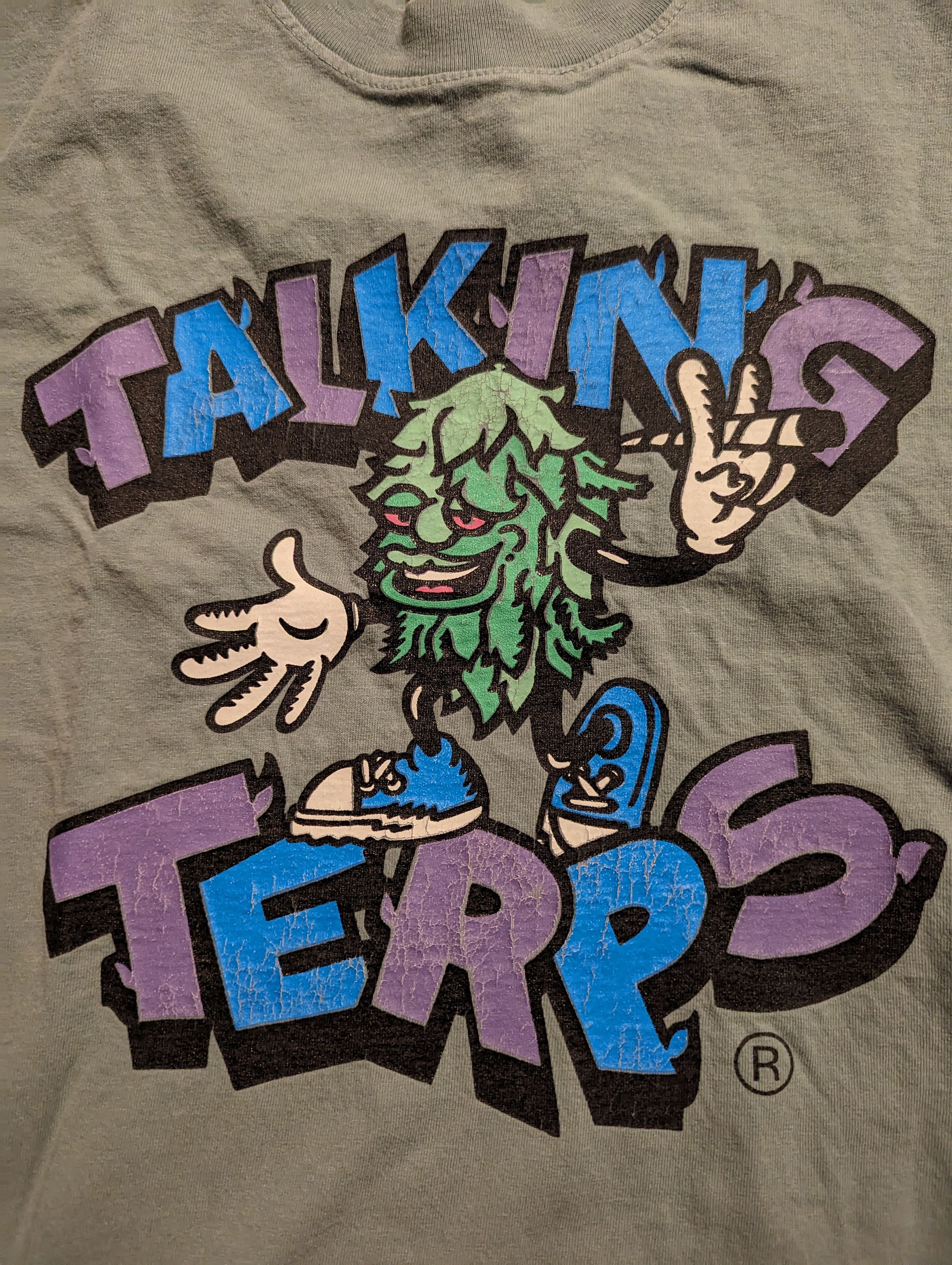 Talking Terps Talking Terps Classic Logo v4 | Grailed