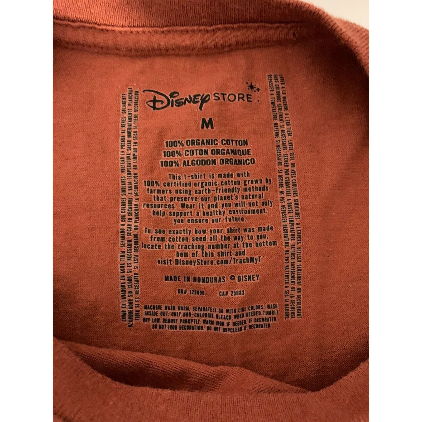 Disney Disney Store Mens GRUMPY BY CHOICE Rust Tee Shirt Sz M Organ ...