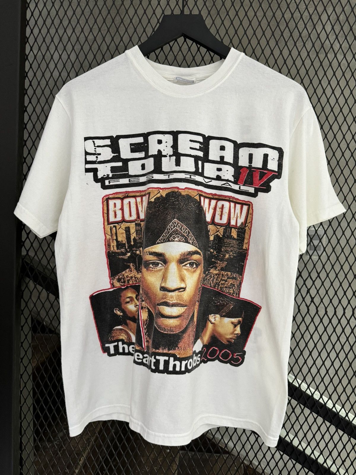 Rap Tees × Streetwear × Vintage Vintage 2005 Scream Tour The Heart ...