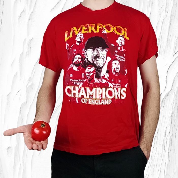 Vintage Vintage Looking Liverpool FC Champions T-shirt | Grailed