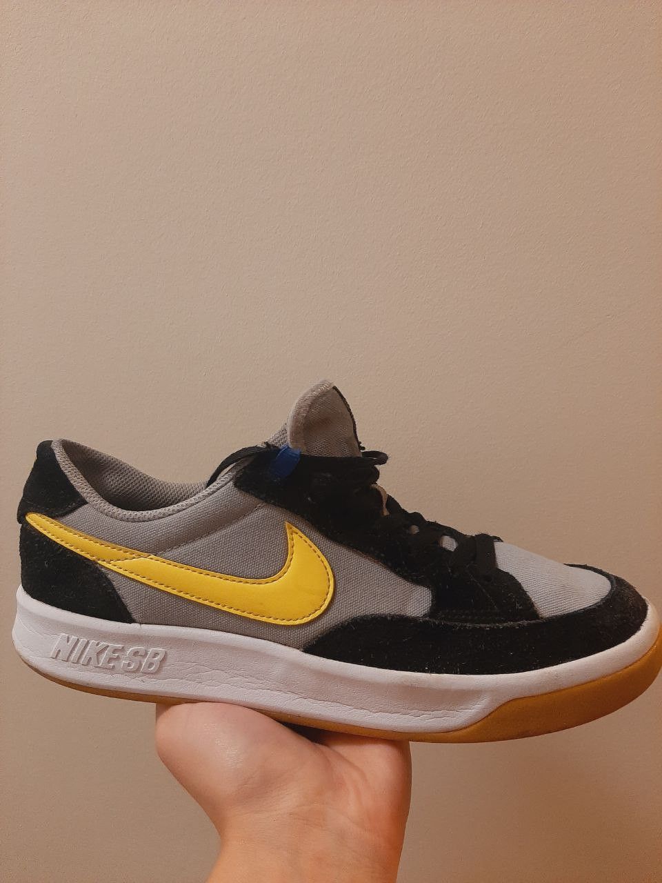 Nike Nike Sb Adversary Shoes | Grailed