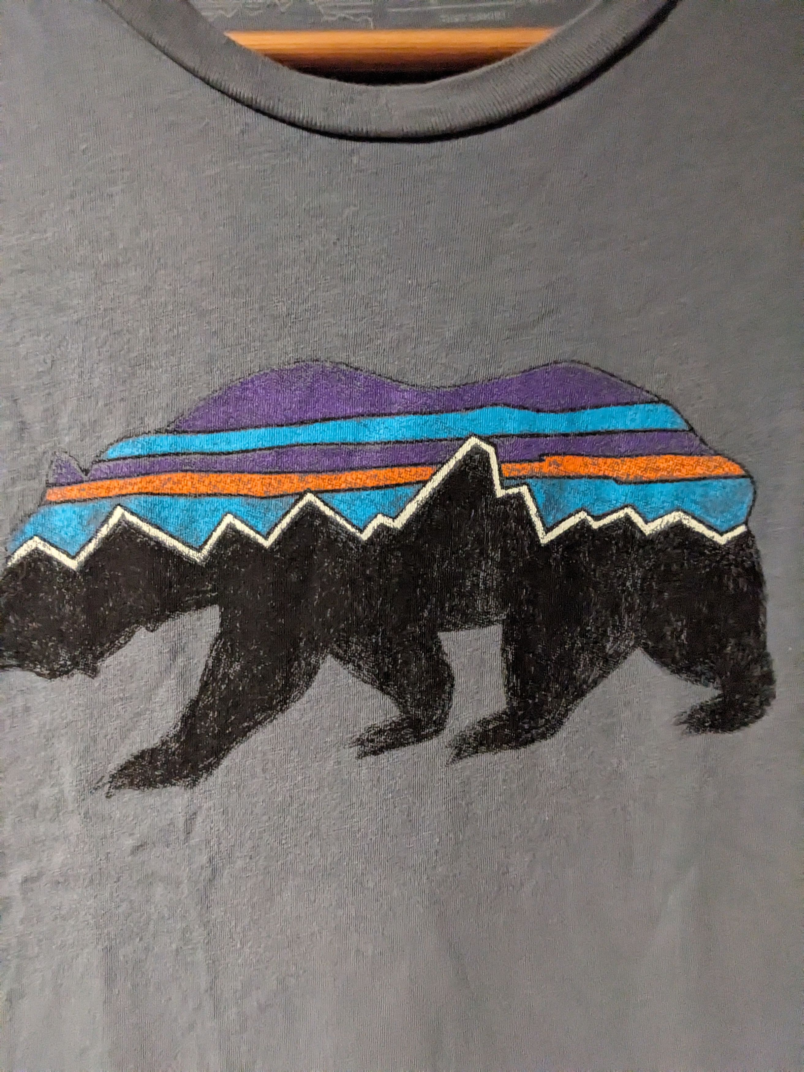 Patagonia Patagonia Bear Logo Fitz Roy Organic Cotton Slim Fit T-Shirt ...