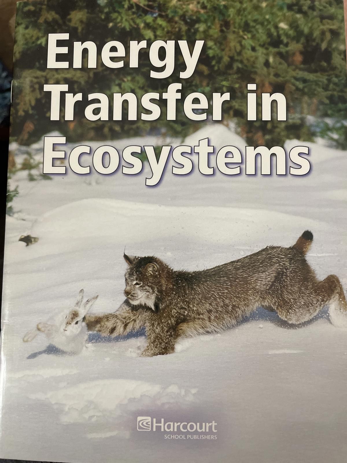 Designer Energy Transfer in Ecosystems Grade 4 Science SKU B1.15 | Grailed