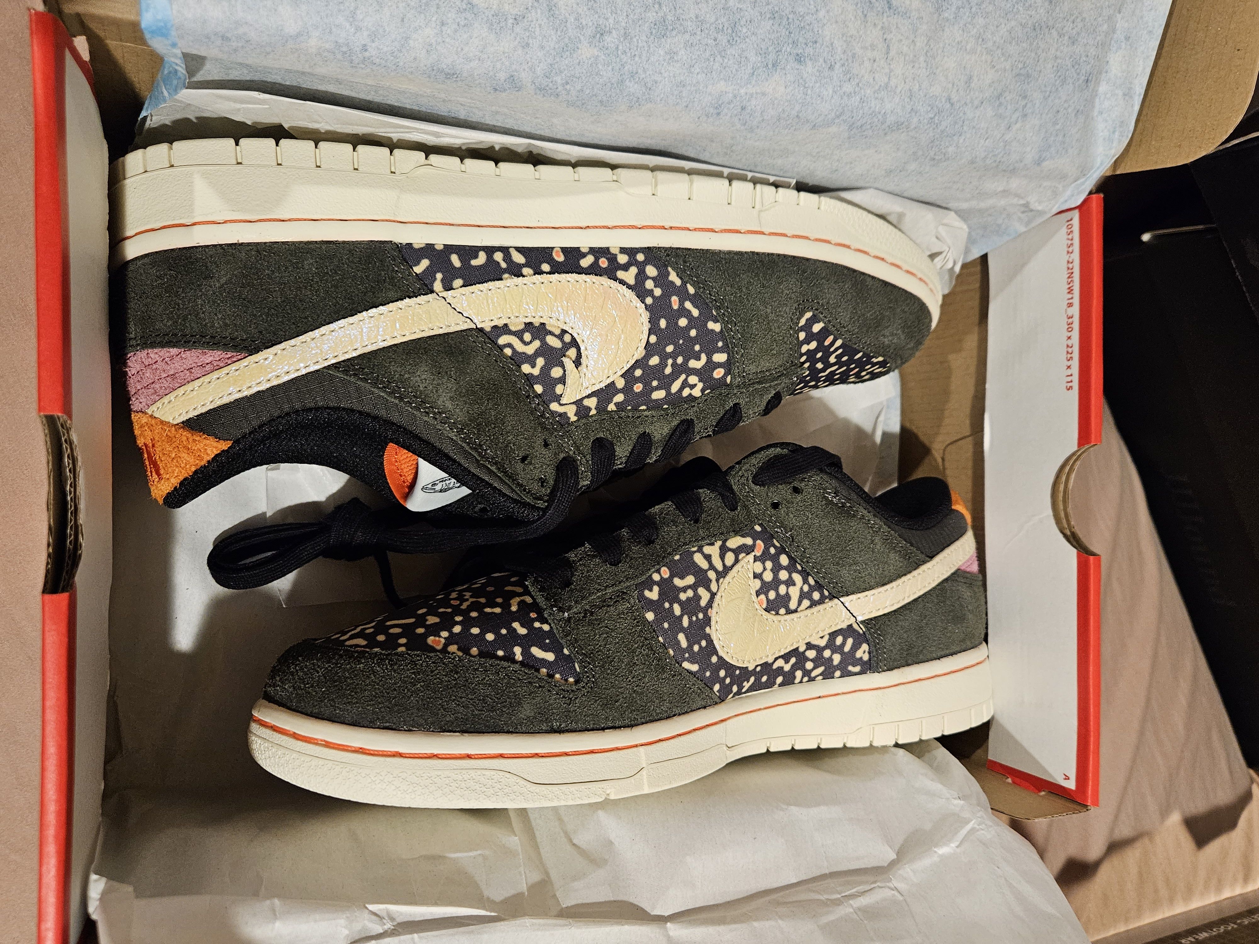 Nike Nike Dunk Retro Gone Fishing Rainbow Trout | Grailed