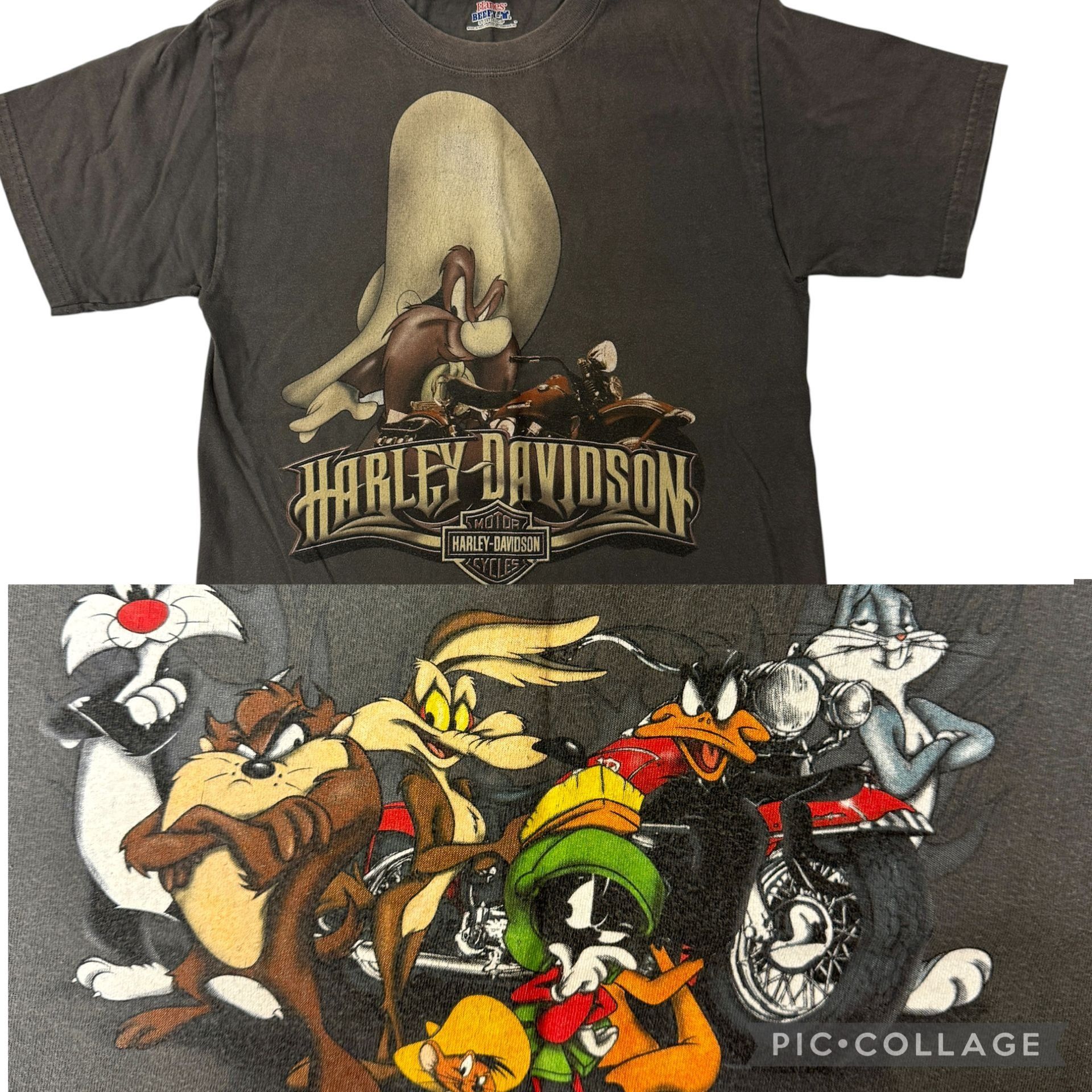 Harley Davidson H-D Motorcycle LOONEY TUNES Frieze O'Fallon IL Yosemite ...