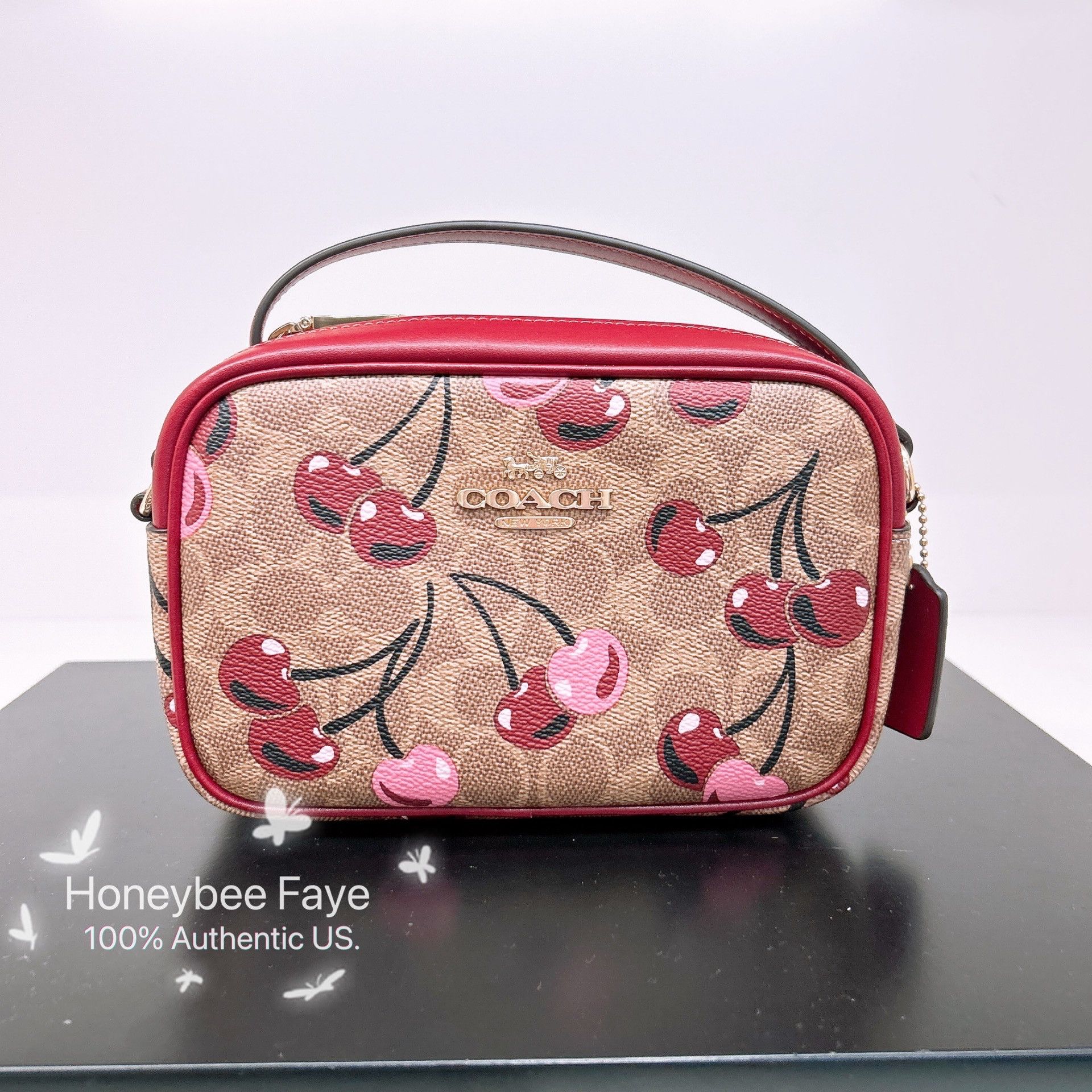 Coach 🍒 Mini Jamie Camera Bag In Signature Canvas Cherry CAB03 | Grailed