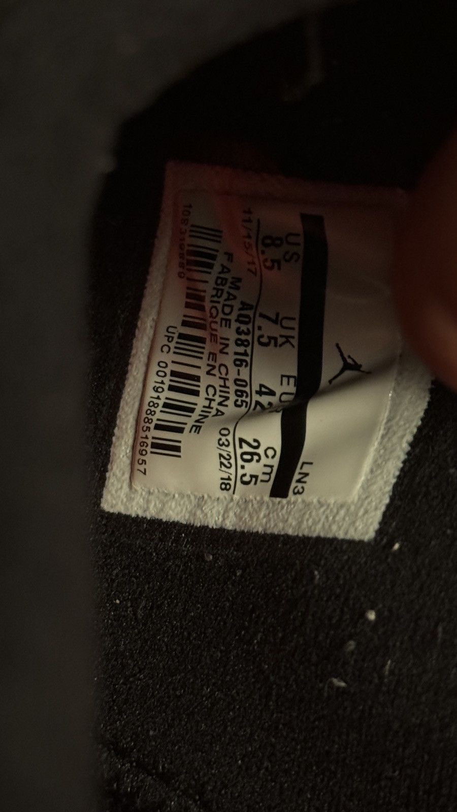 Nike Jordan 4 raptor | Grailed