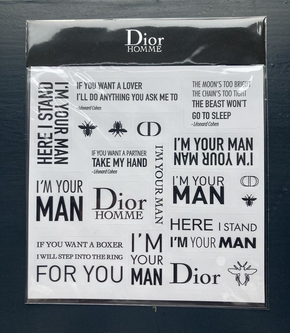 Dior Dior Homme sticker set | Grailed