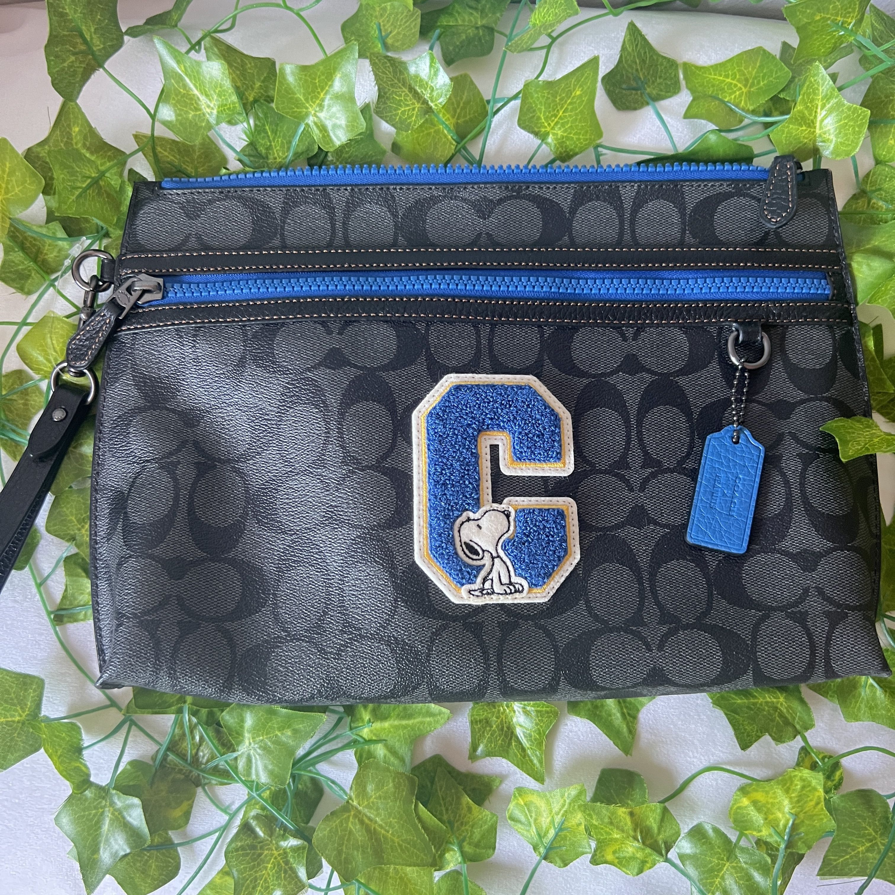 Coach Coach X Peanuts Carryall Pouch With Snoopy | Grailed