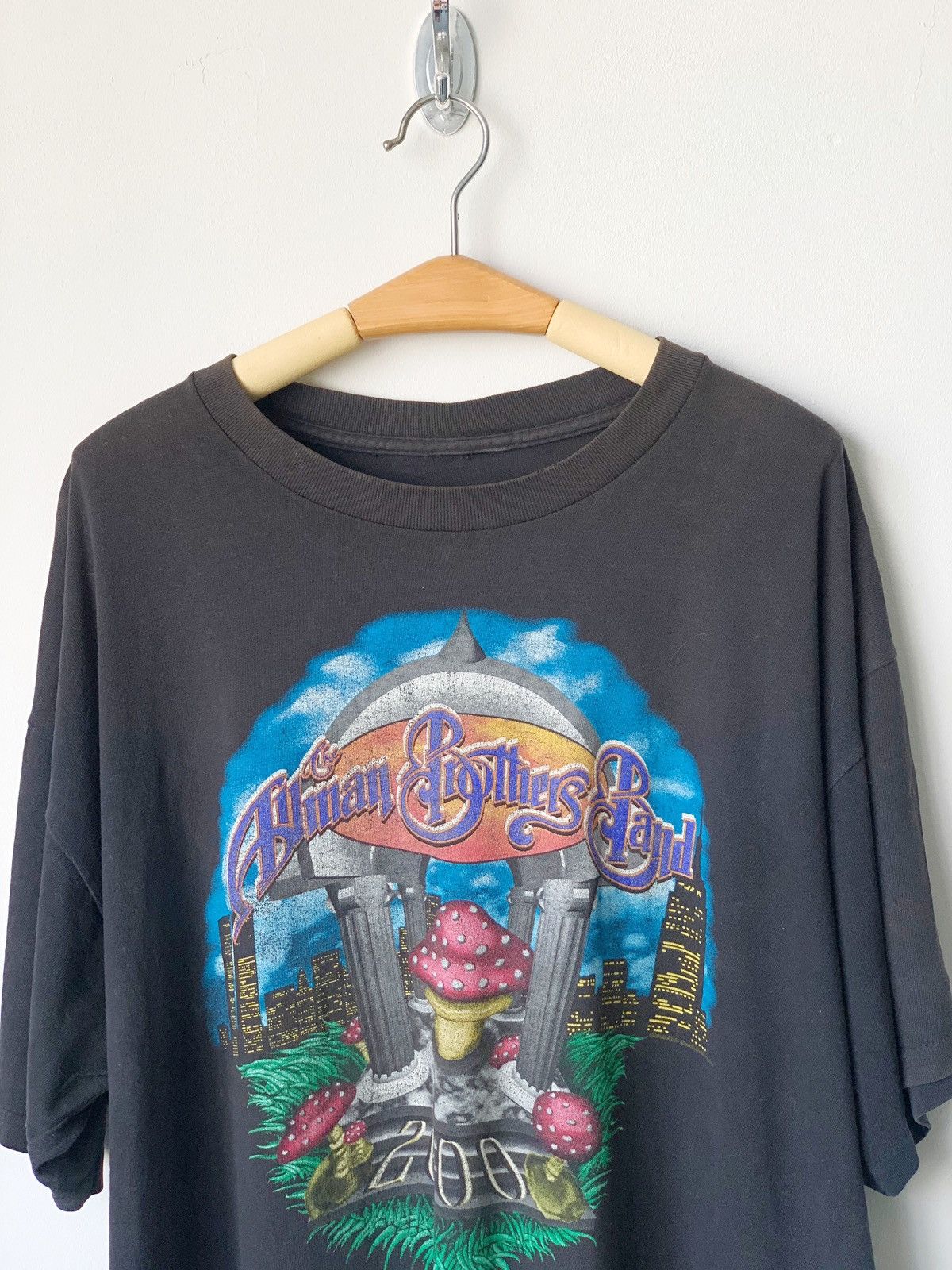 Vintage Vintage Early 2000's The Allmand Brothers Tour | Grailed