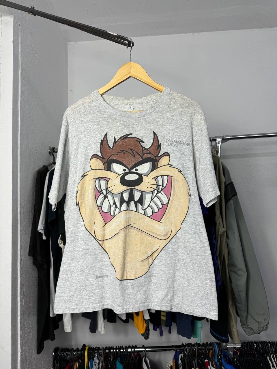 Cartoon Network × Vintage × Warner Bros 1990s TAZ Tasmanian Devil t ...