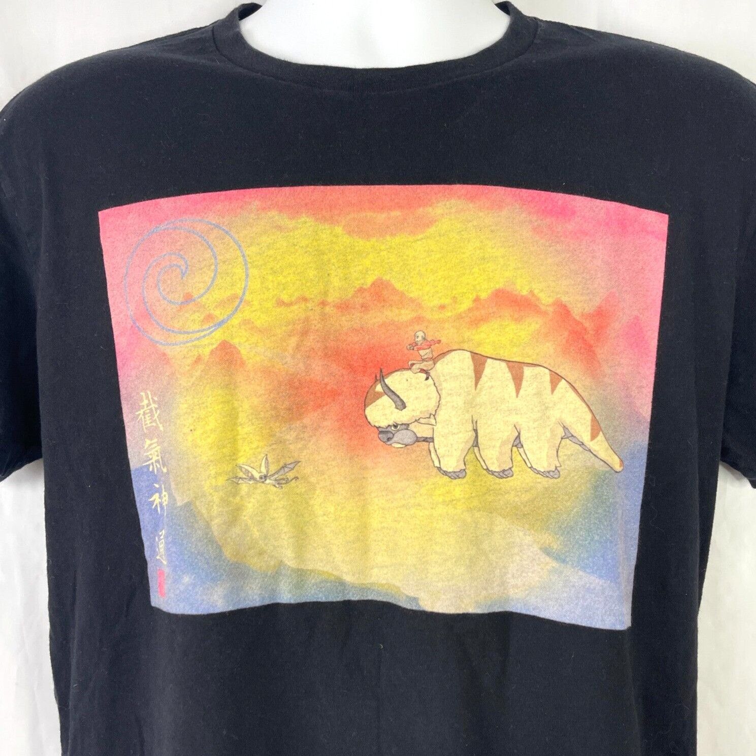 Streetwear Avatar Last Airbender Aang Appa Sky Bison Box Lunch M T-Shir ...