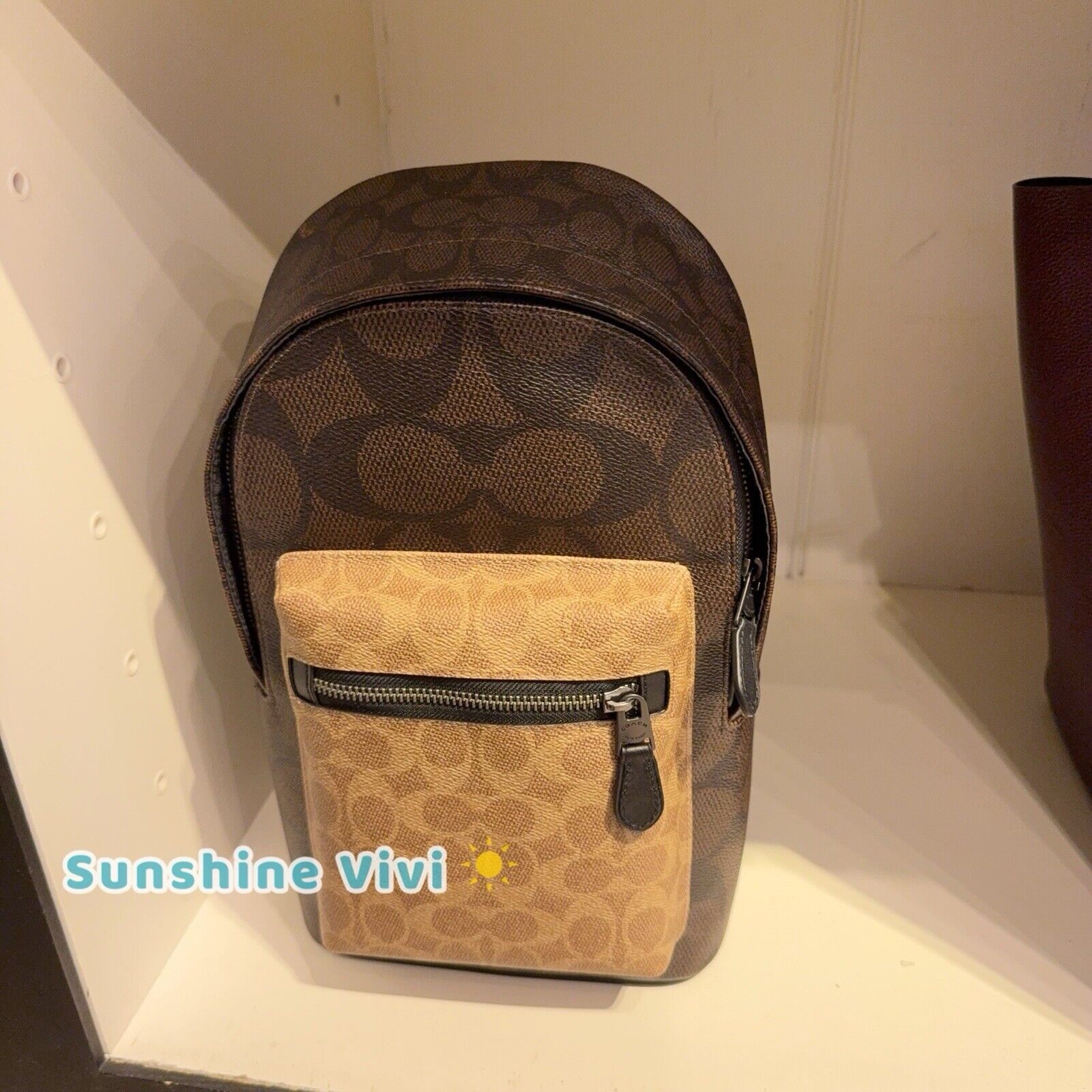 Coach NWT Coach Men's West Pack Signature Canvas CAB60 Walnut /Tan ...