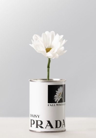 Prada 🌼 Prada Daisy seeds in can Birthday gift | Grailed