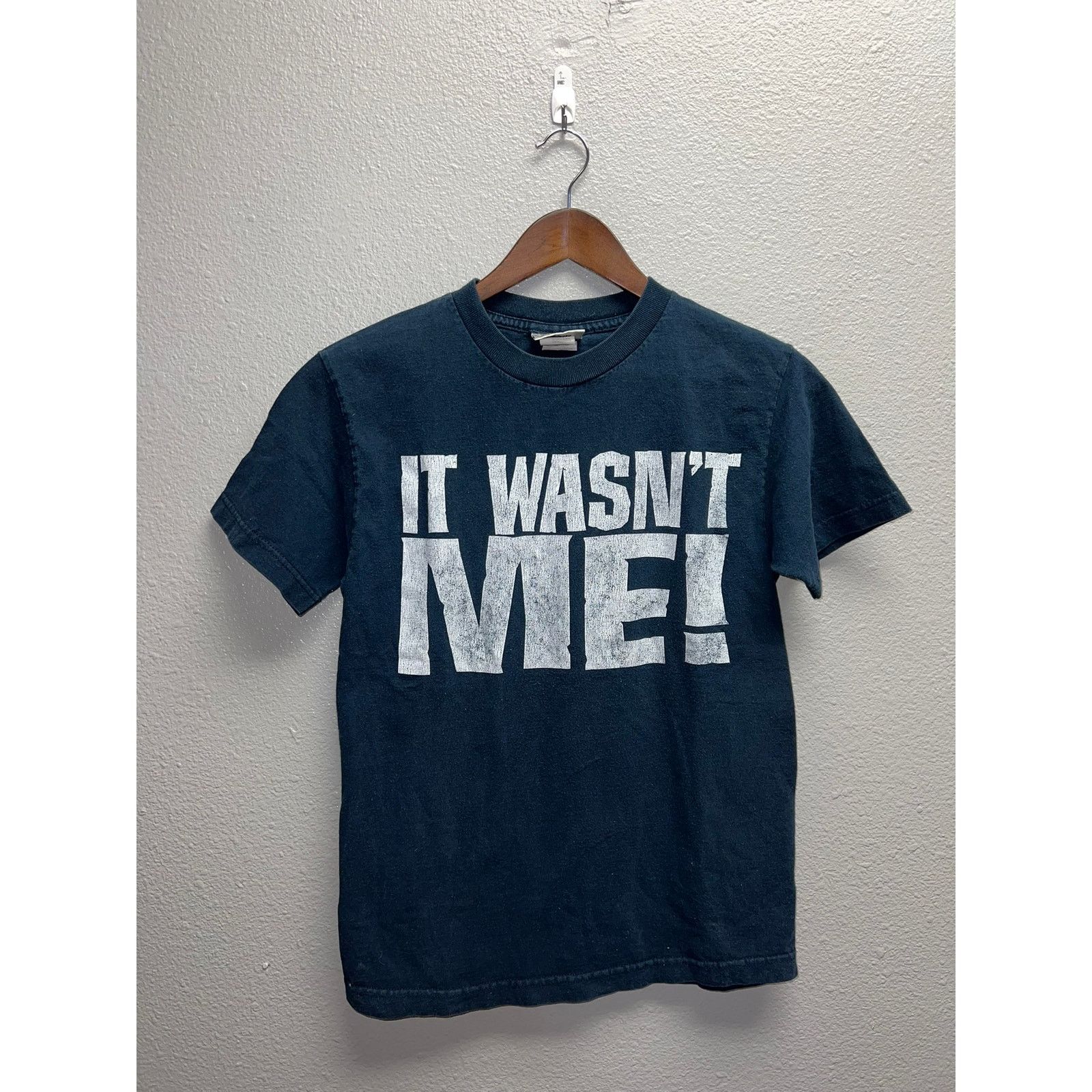 Disney Walt Disney World Shirt Lion King Pumba It Wasnt Me Blue Tee ...