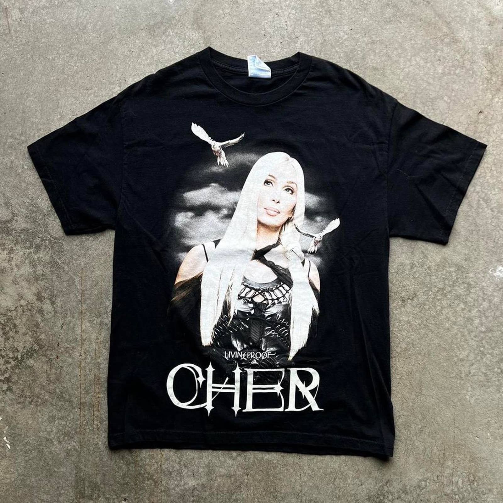 Band Tees × Streetwear × Vintage Vintage Cher Living Proof Band T Shirt ...