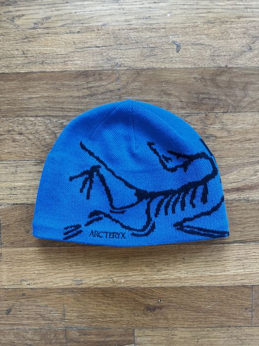 Arc'Teryx Bird Head Toque Beanie Fluidity/Labyrinth | Grailed