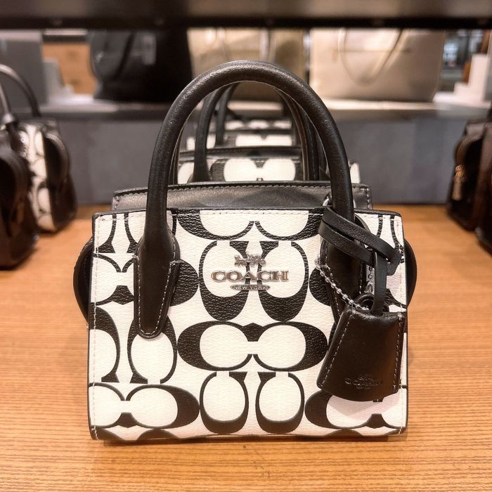 Coach Andrea Mini Carryall In Signature Canvas CO973 | Grailed