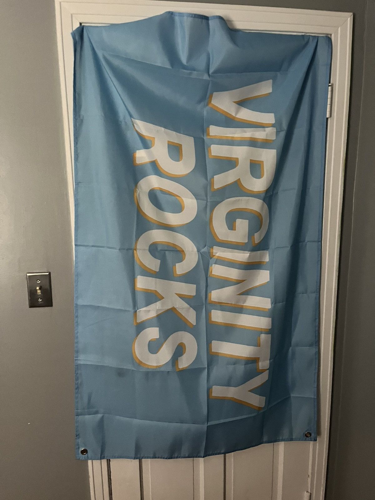 Other Danny Duncan Virginity Rocks Flag | Grailed