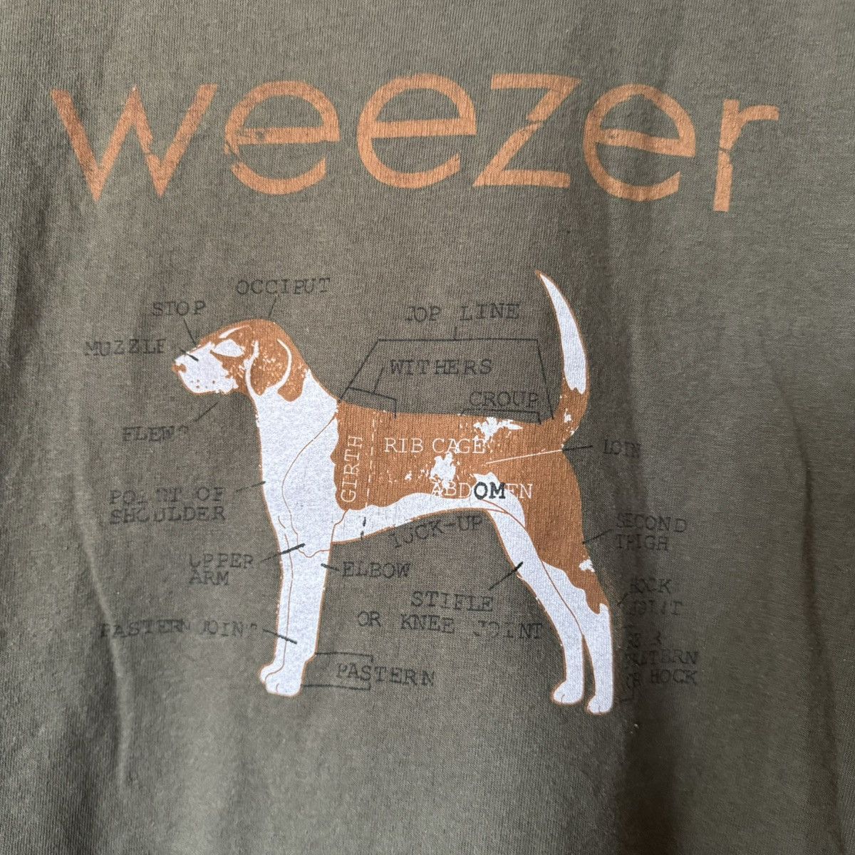 Vintage RARE 2000s Weezer Dog Anatomy green t-shirt | Grailed