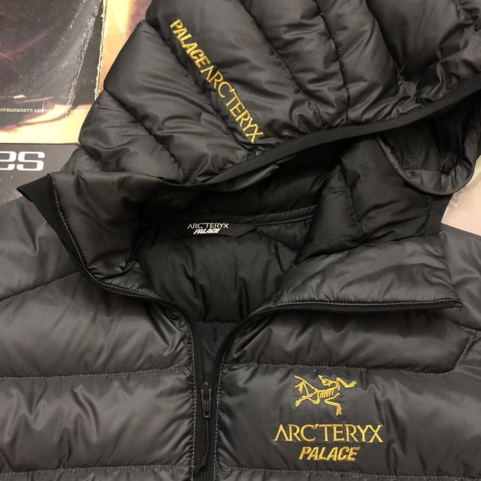 Arc'Teryx Palace x Arc’teryx Cerium LT Jacket Goose Down Insulated ... Arc'Teryx Palace x Arc’teryx Cerium LT Jacket Goose Down Insulated ...