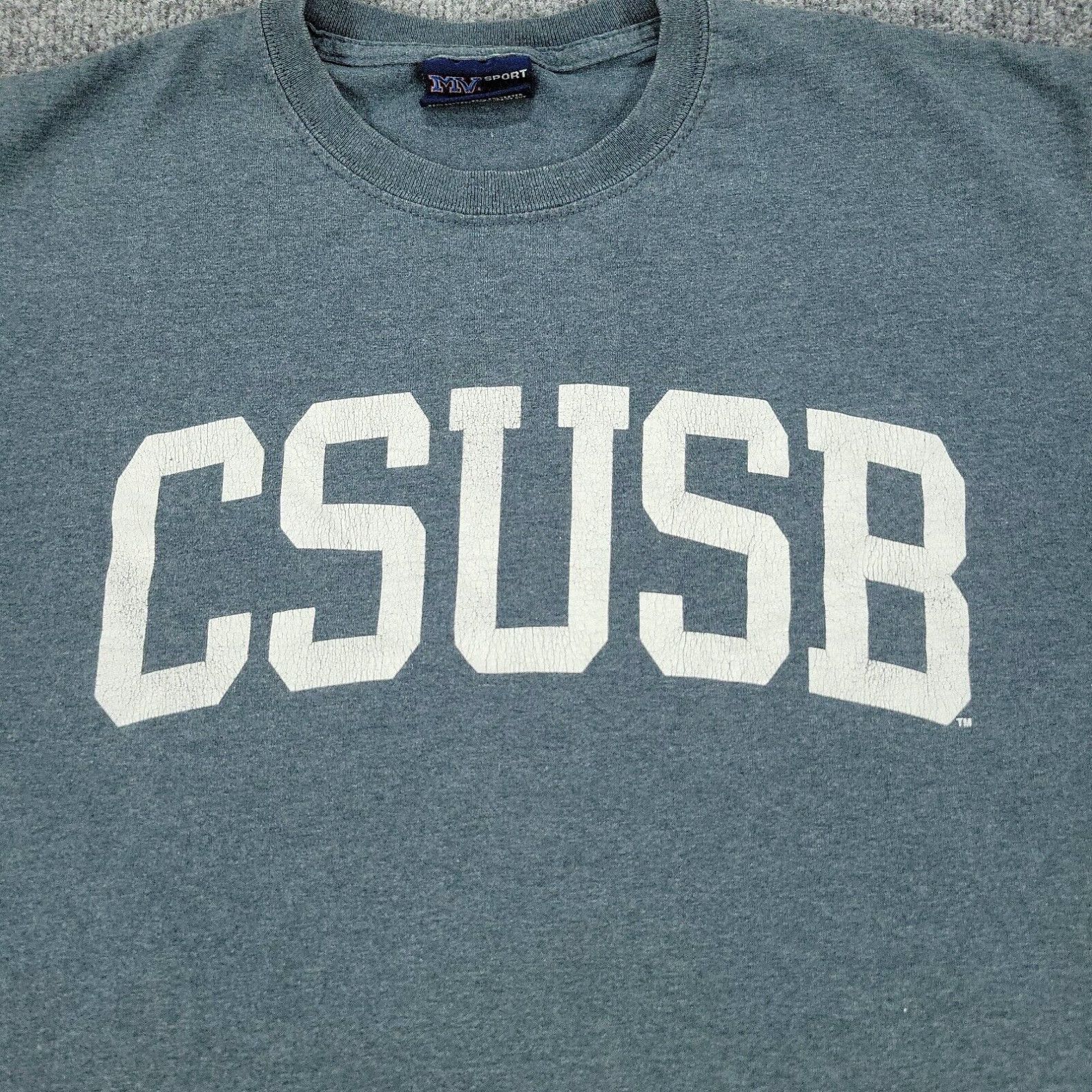 Vintage Cal State University San Bernardino Shirt Men's Medium Gray ...