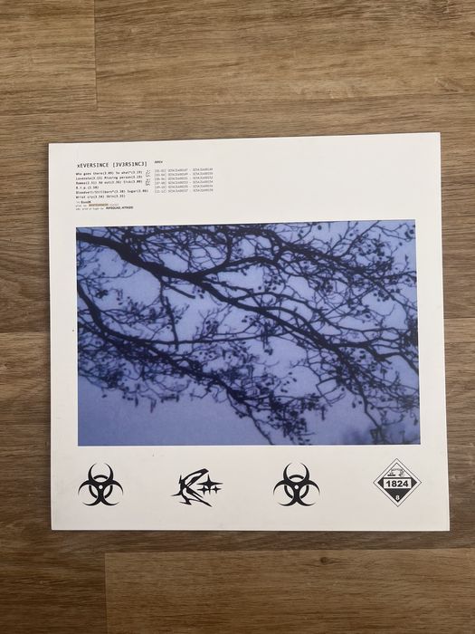 Drain Gang EVERSINCE Bladee Vinyl * | Grailed