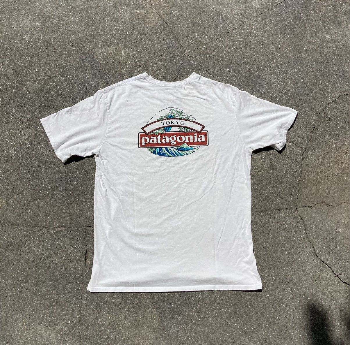 Patagonia “Hokusai Wave Logo” Tokyo Exclusive T-Shirt | Grailed