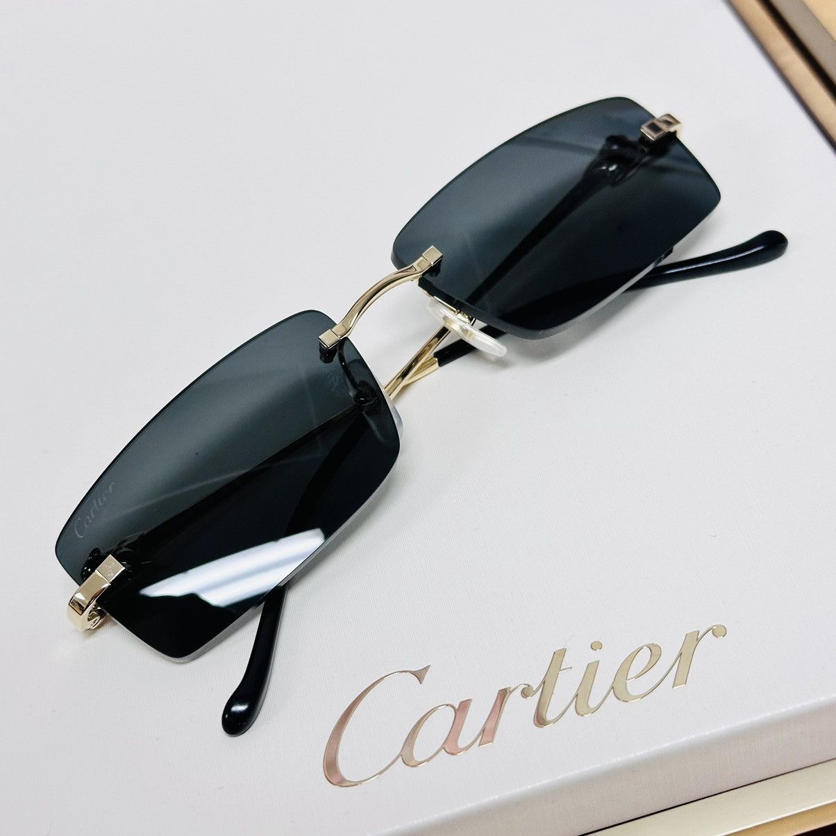Cartier Cartier 2024 Wire Buffs Sunglasses | Grailed