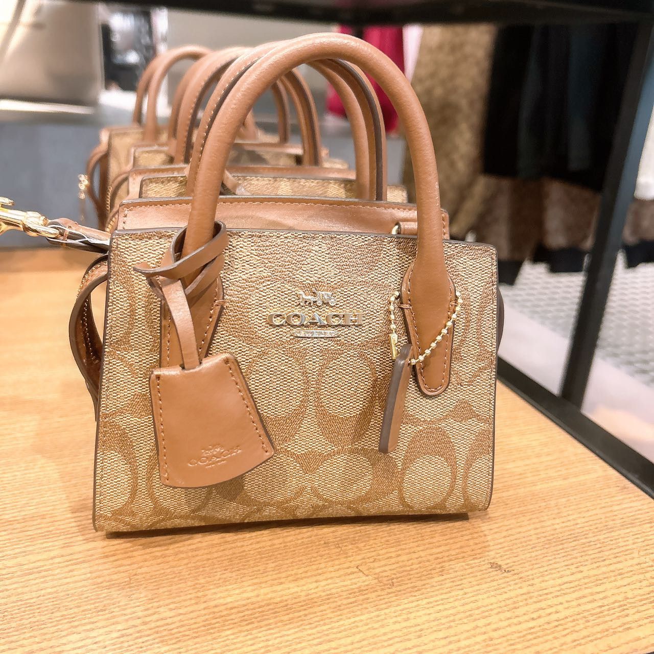 Coach Andrea Mini Carryall In Signature Canvas CO975 | Grailed